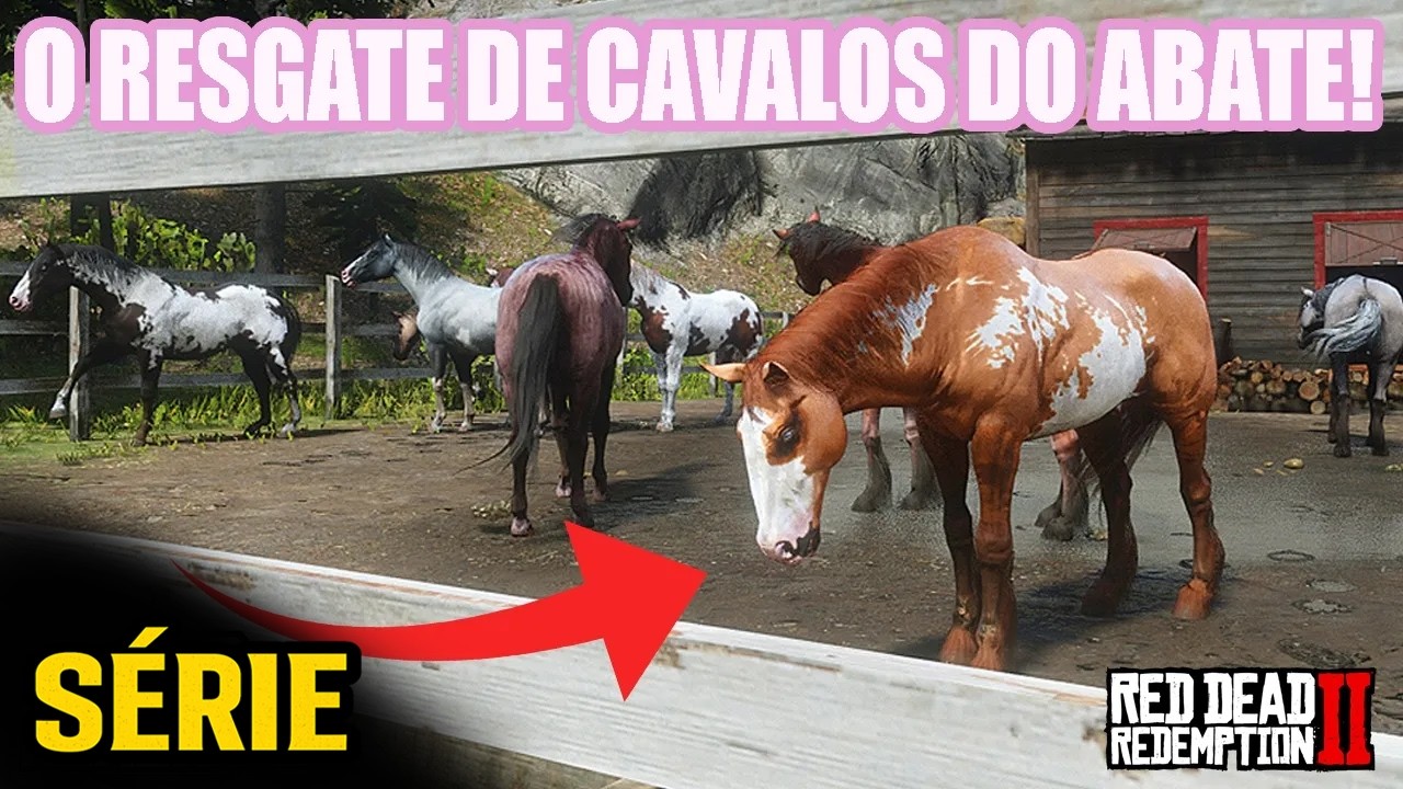 O RESGATE DOS CAVALOS SELVAGENS DO ABATEDOURO! MODO REALISMO Uma ...