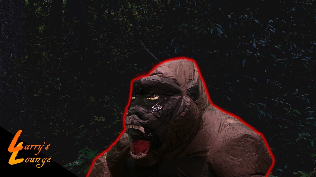 MONKEY MAYHEM! - YouTube