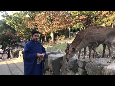 Japonya’da Doğa