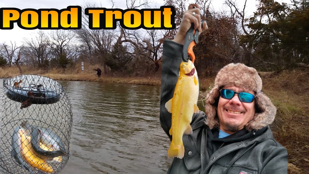POND FISHING for TROUT!! PALOMINO and RAINBOW(Dolese Youth Park) - YouTube