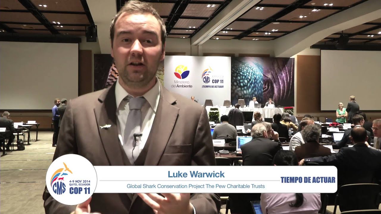 Luke Warwick - Global Shark Conservation Project The Pew Charitable ...