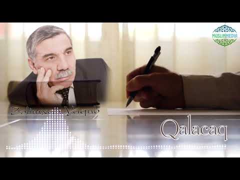 Zəlimxan Yaqub - Qalacaq