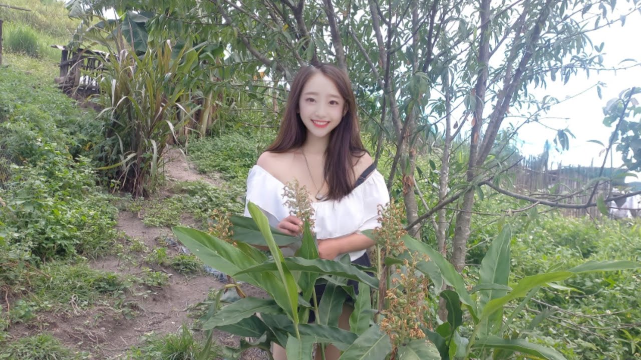 dab neeg sib aim kuv niam yuam kuv rau hmoob mekas aim mob paum tiag2 ...