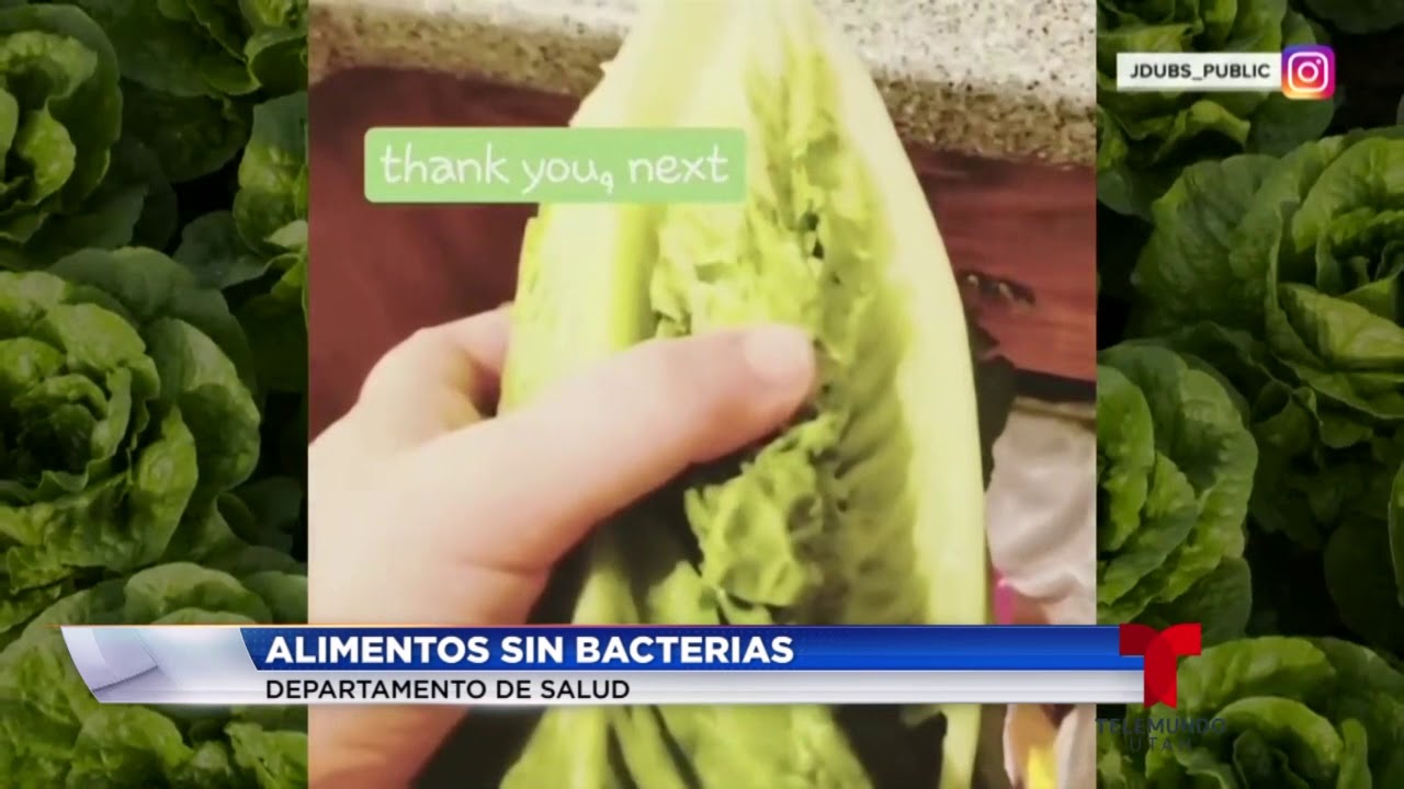 Alimentos sin bacterias - YouTube