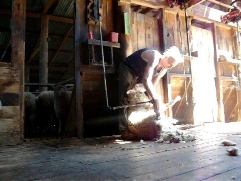 Crutching - YouTube