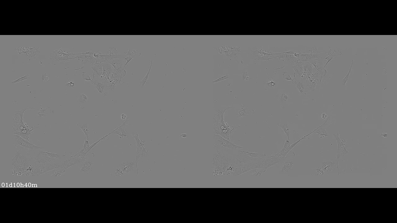 F7-2(KNK808v2-4ng)Fiduciary-free frame alignment and image ...