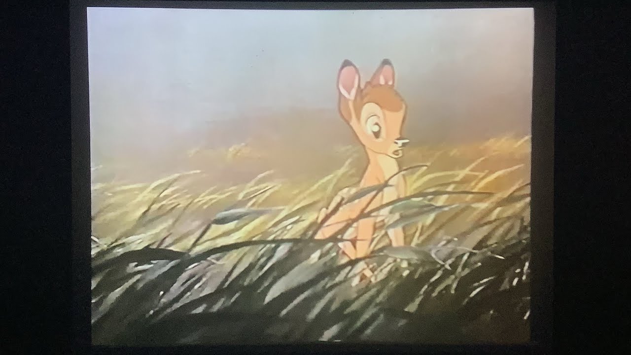 Bambi 1997 VHS📼Bambi MOTHER!😫👊🏻😡🏫🔺🦌🦌🦌🦌🦌Run😡VHS📼BOB BOB BOBSI VHS📼📺 ...