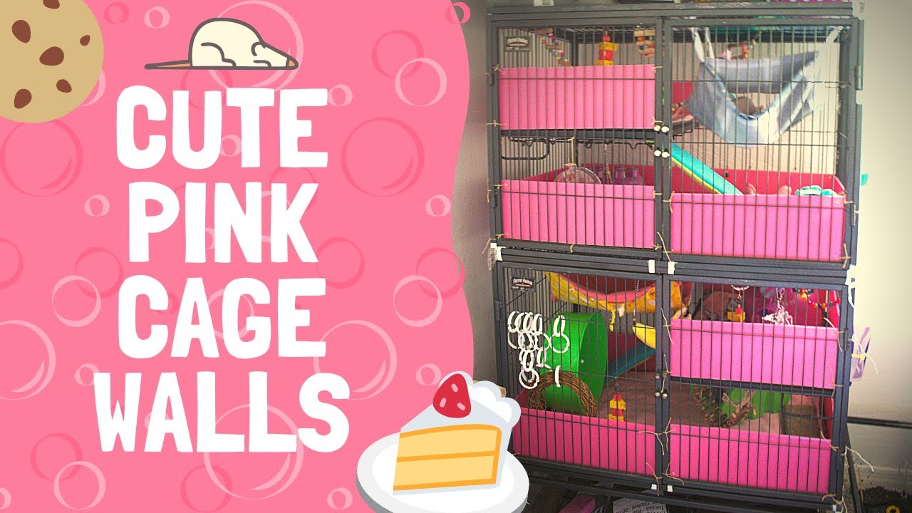 DIY Rat Cage Walls - Less Mess! - YouTube