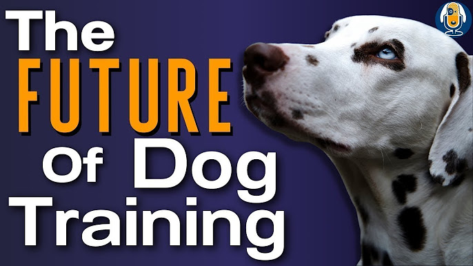 Reinforcement Dog Training