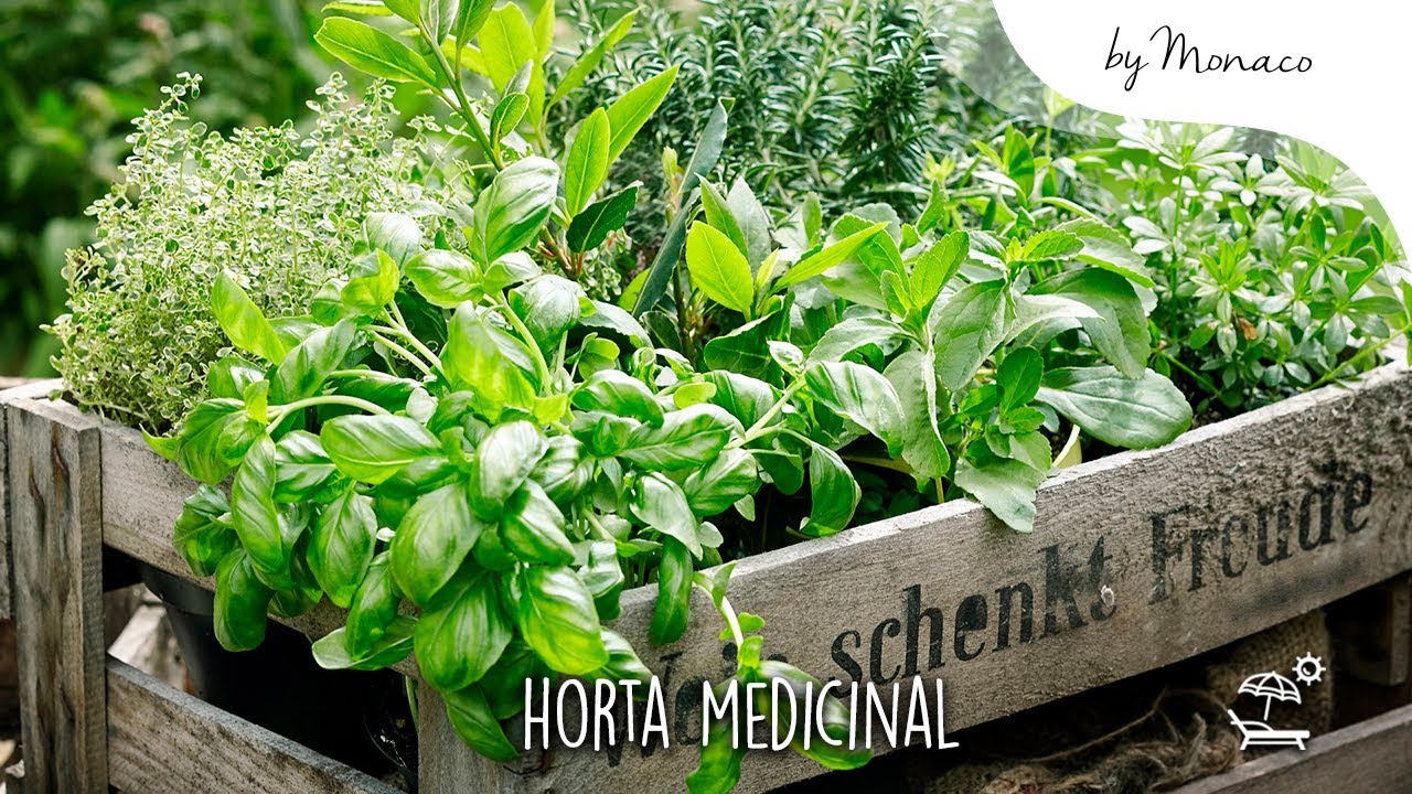 Como fazer: Horta Medicinal - YouTube