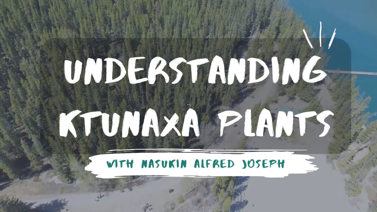 Understanding Ktunaxa Plants | First Nations | Tripify Inc. - YouTube