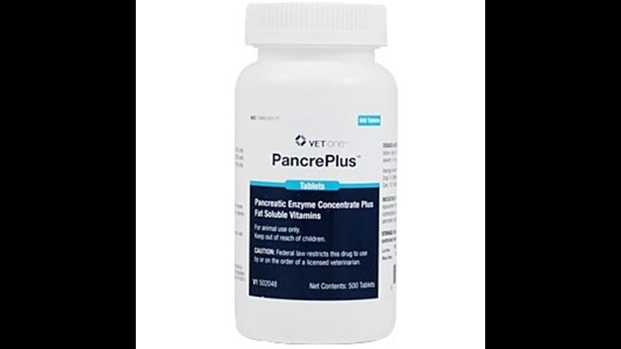 PancrePlus Tabs - YouTube