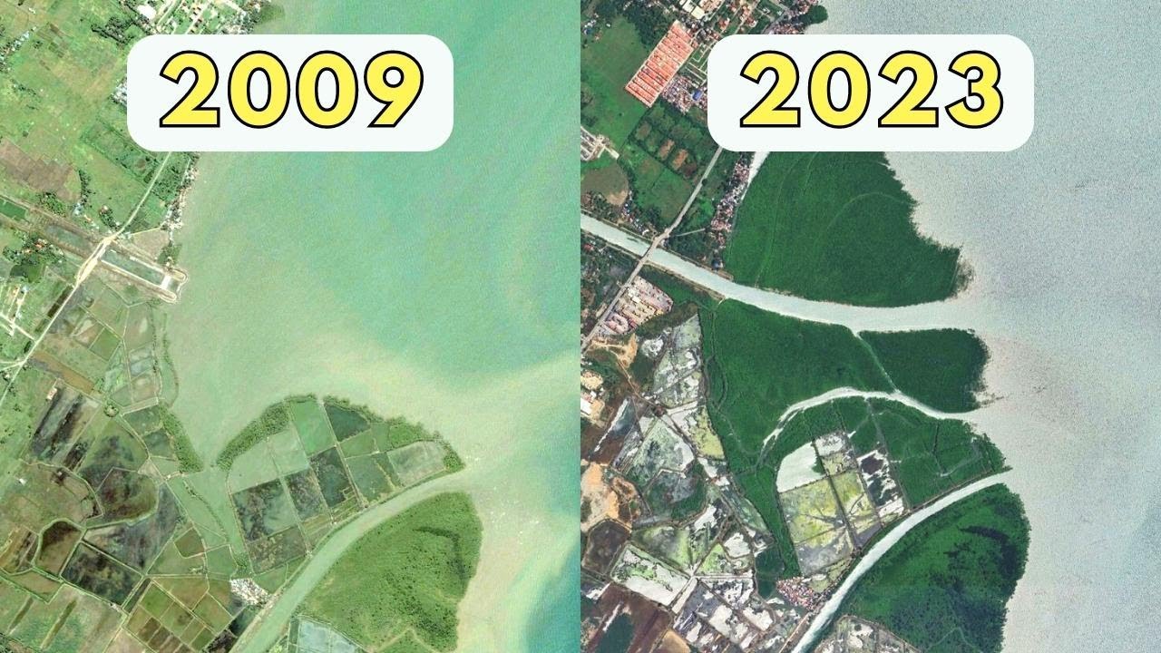 A new mangrove forest grew in Iloilo City (2/2) - YouTube