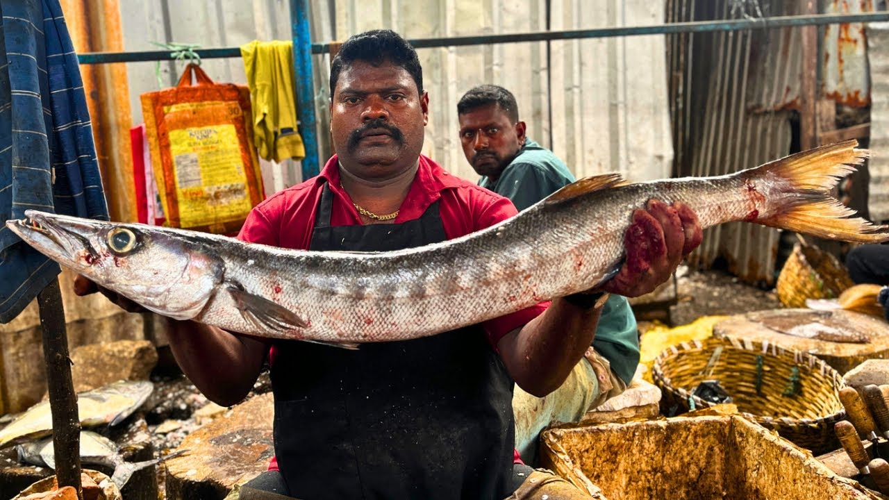 SHEELA BARRACUDA FISH CUTTING BY SPEED SELVAM | HD VIDEO | IN KASIMEDU ...