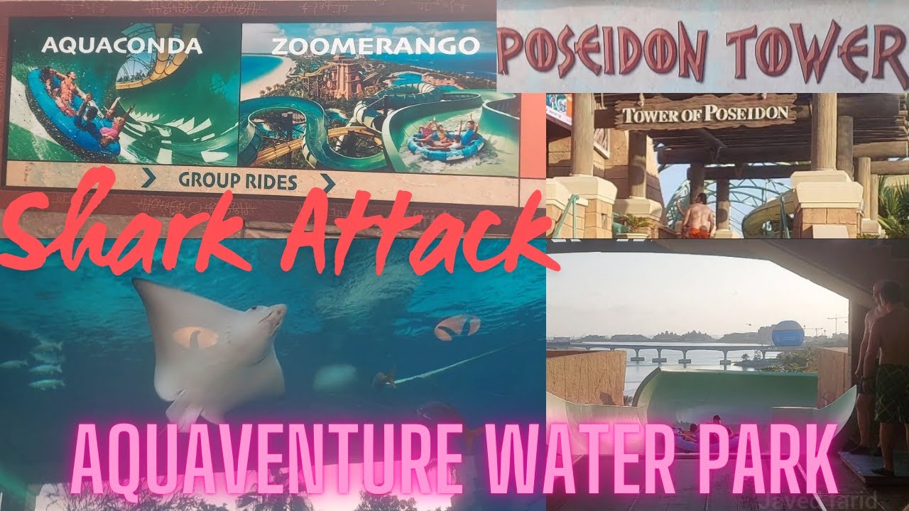 Shark Attack Water Slide|Poseidon Tower| Aquaventure Water Park| Dubai ...