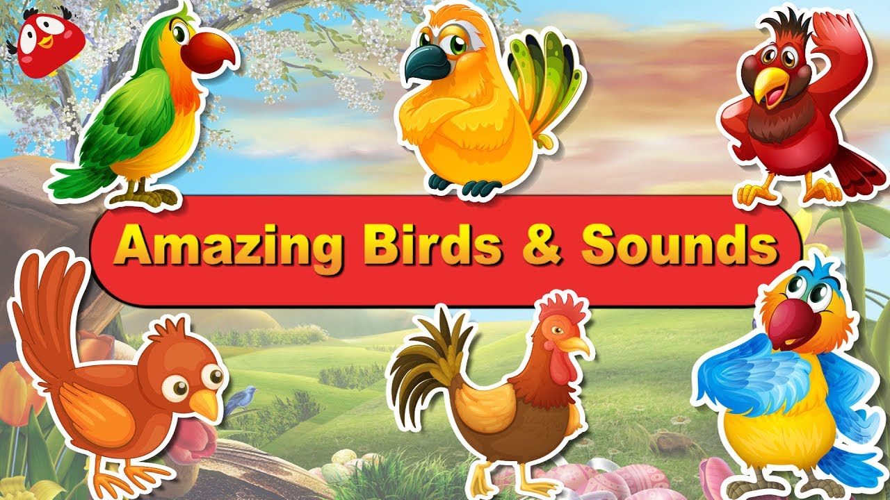 Learn Bird Sounds & Names for Children | Type of Birds and Voices ...