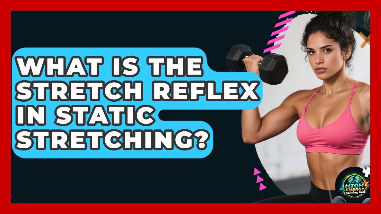 What Is The Stretch Reflex In Static Stretching? - High Energy Training ...