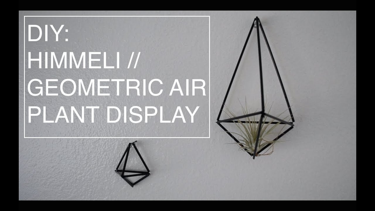 DIY Himmeli // Geometric Air Plant Display - YouTube