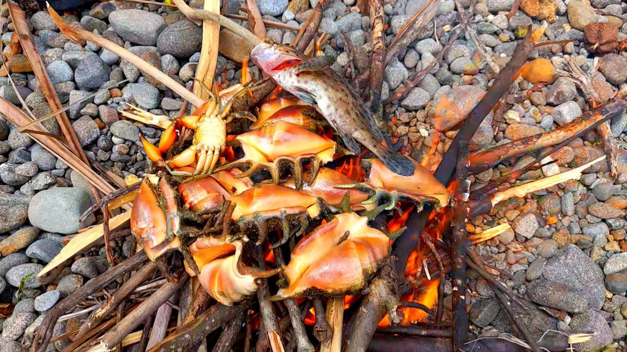 SURVIVAL, ADVENTURE-NO FOOD, NO WATER, FINDING FOOD, CATCH AND COOK ...