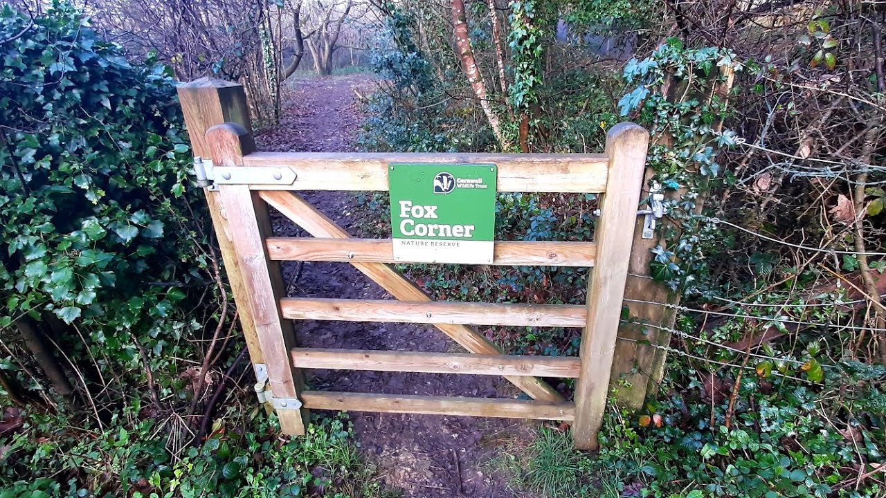 Fox Corner Explore - We have had a lot of rain in Cornwall (little pond ...
