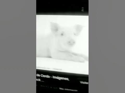 tacos de caca UWU - YouTube