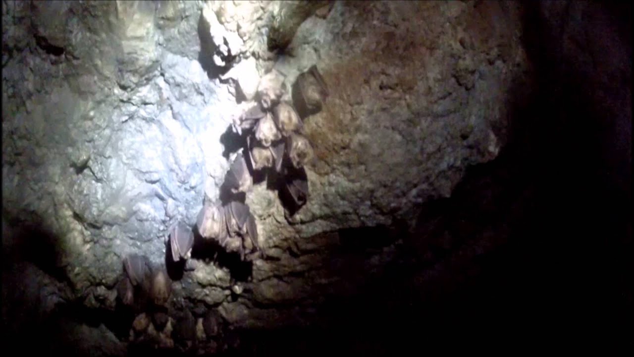 Giuseppe Fallone, "Miniera grande" di longobucco, 24/01/2016 - YouTube