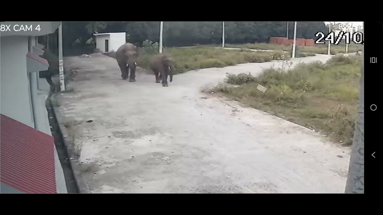 13 February 2025 - YouTube