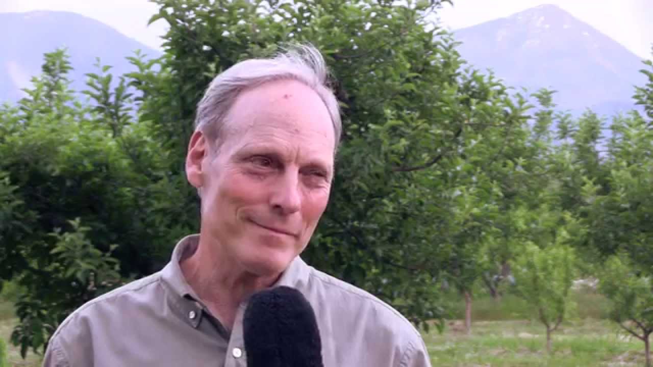 Daniel Feldman - YouTube