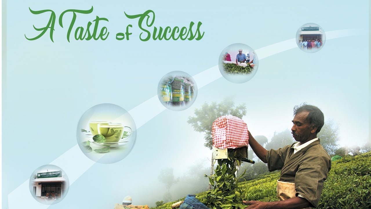 Taste of Success - YouTube