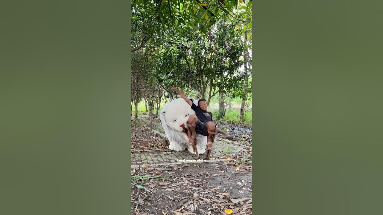 Lagi asik main jangkungan malah di ganggu sama can macanan - YouTube