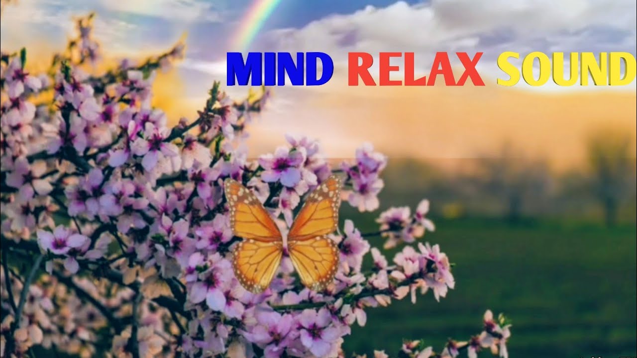 A beautiful pleasant environment || With a beautiful sound. - YouTube