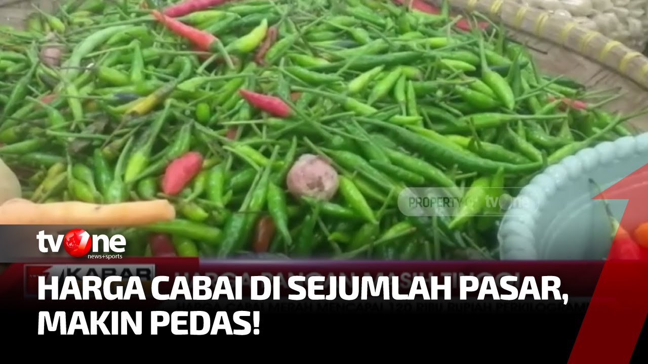 Harga Cabai Rawit dan Cabai Merah Tembus Rp 120 Ribu Per KG | Kabar ...