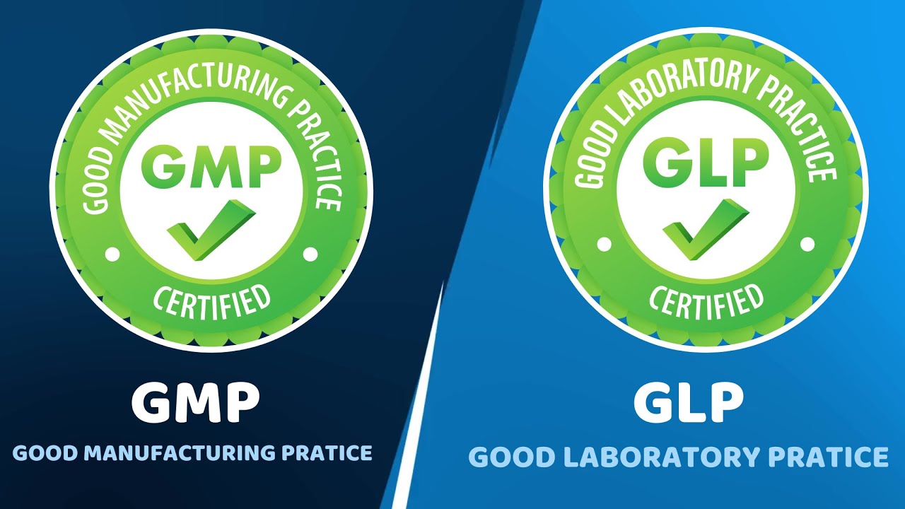 GMP vs GLP - YouTube