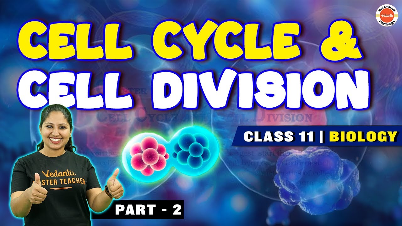 Cell Cycle and Cell Division Part 2 | Class 11 Biology | Vedantu ...