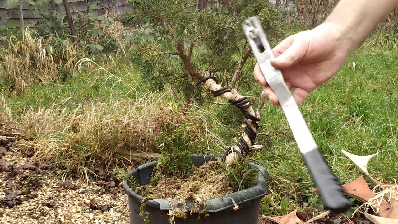 Branch Bender - YouTube