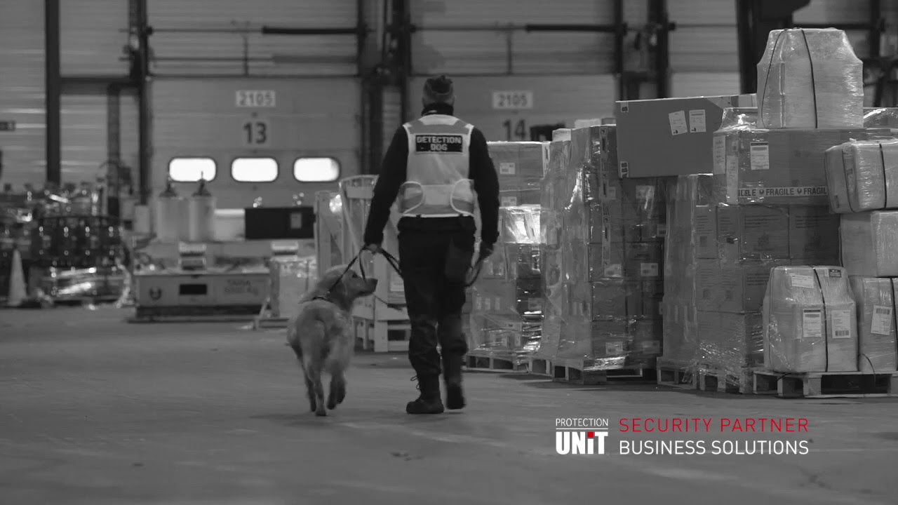 🟥 Protection Unit • Explosive Detection Dogs 🐕 - YouTube