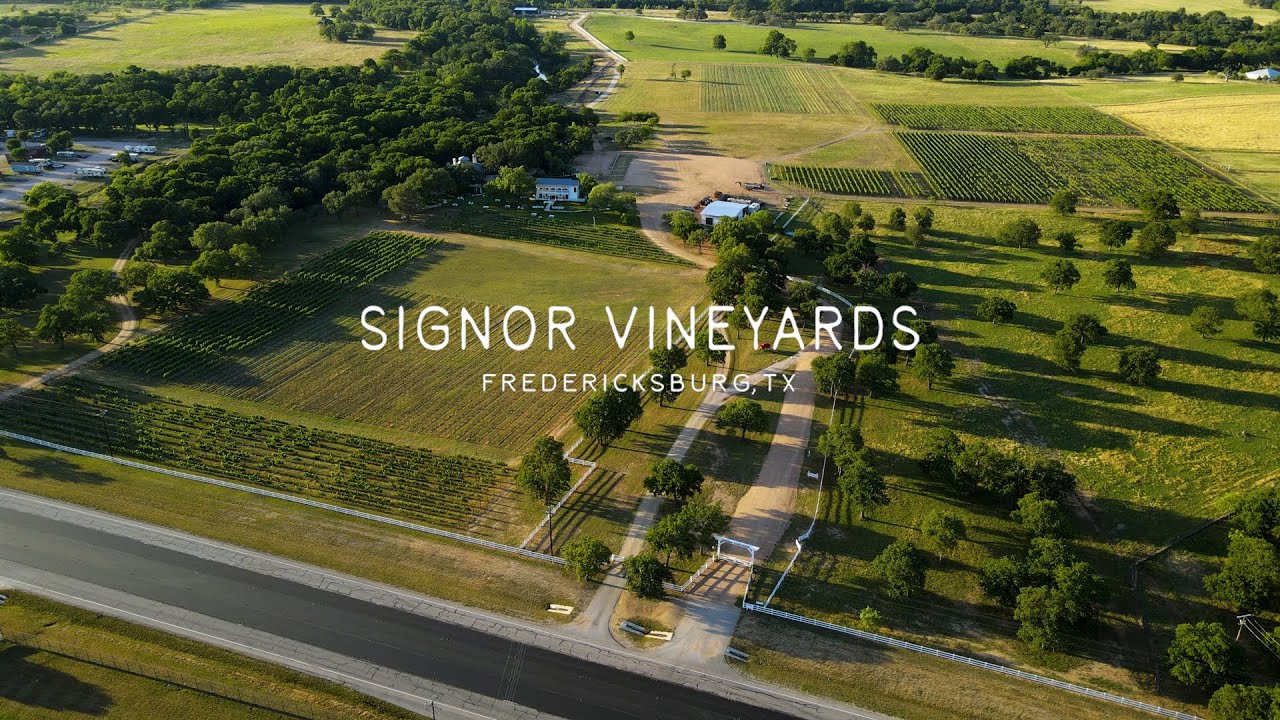 Signor Vineyards - Drone Shots - 4K - YouTube