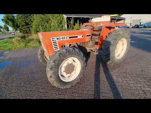 Fiat 80-66 DT - Mosterttrading