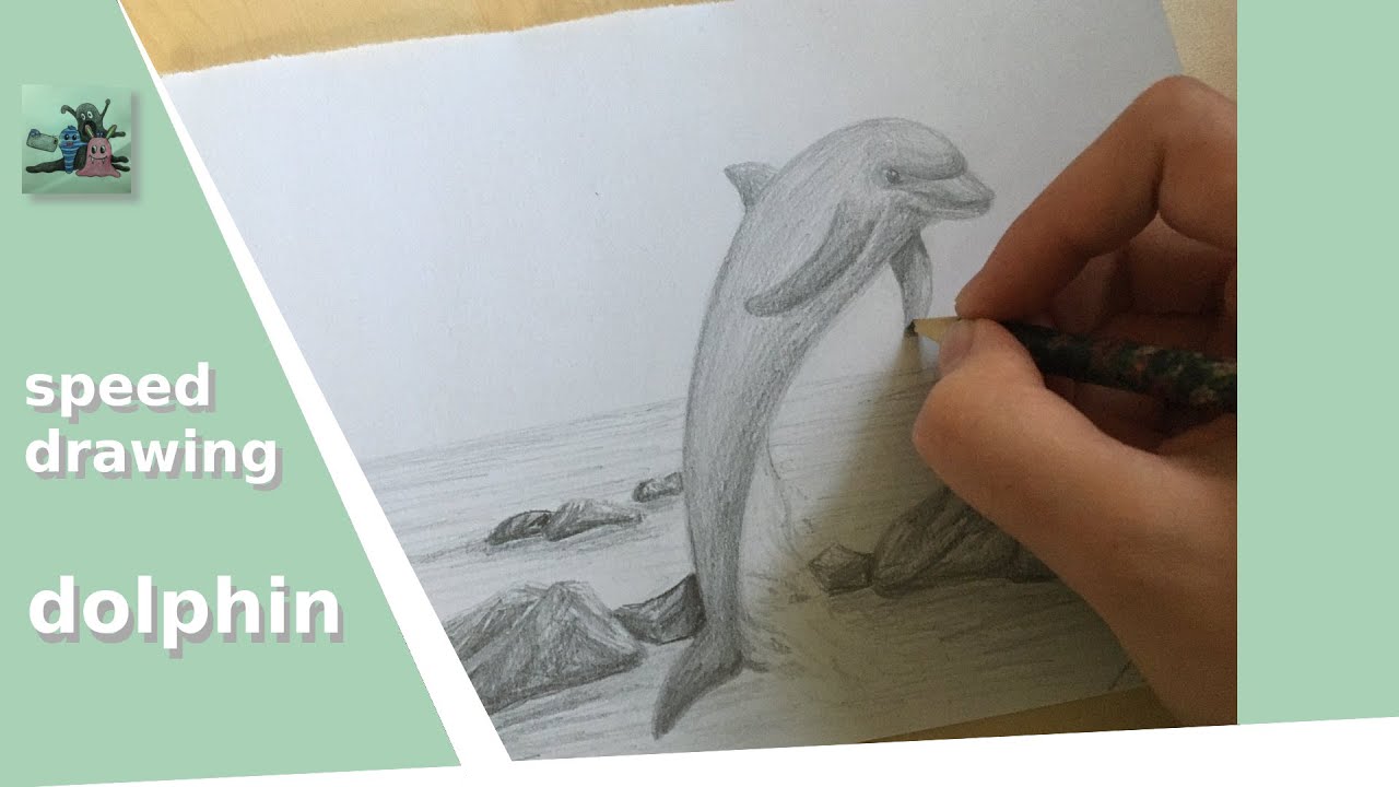 speed drawing - animal sketch - dolphin - YouTube
