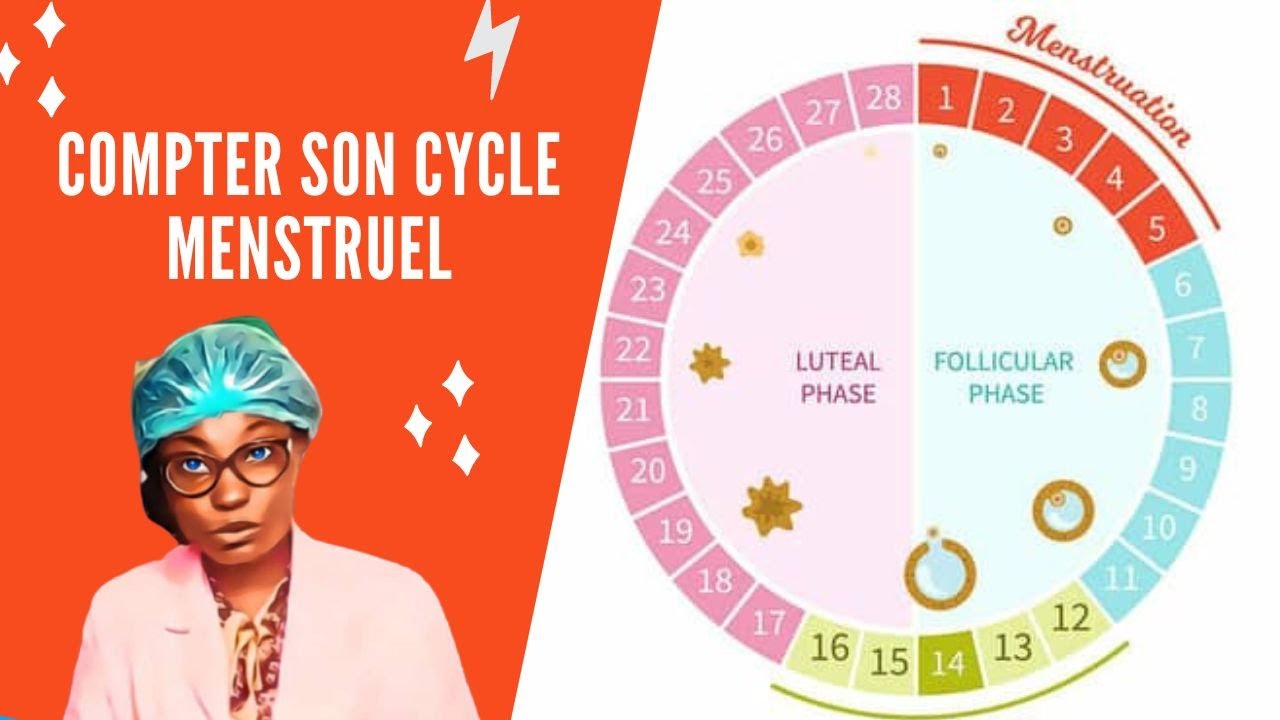 Comment Compter Son Cycle Menstruel Régulier Youtube