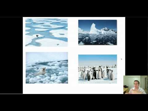 Polar & Mountain Biomes