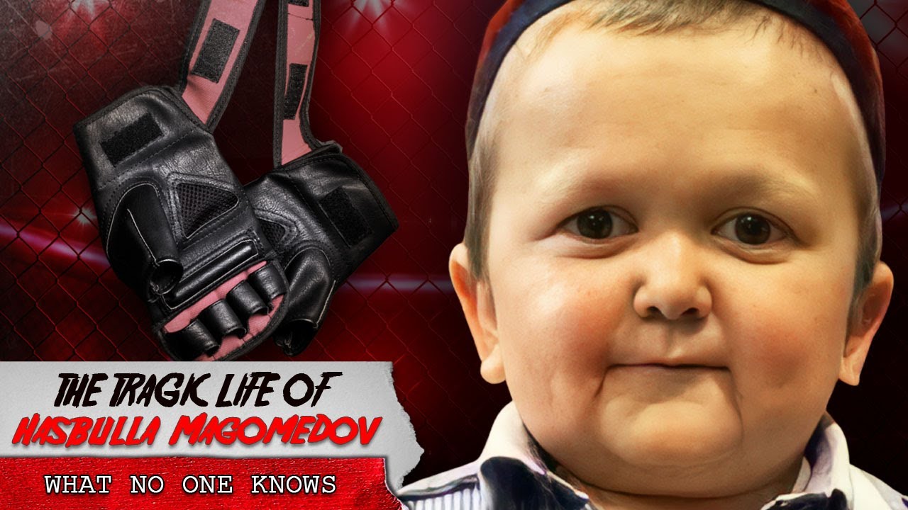 The Tragic Life Of Hasbulla Magomedov | What No One Knows.. - YouTube