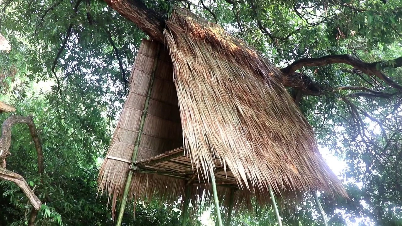 Build Tree house with bamboo - YouTube