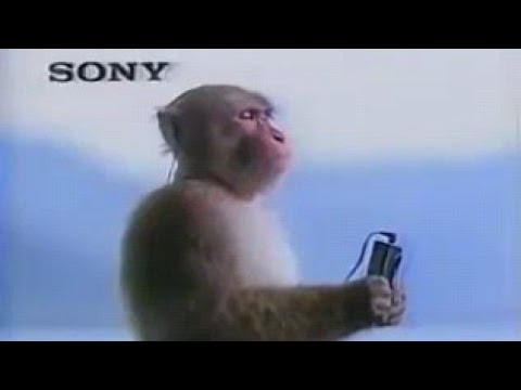 monkey with ching cheng hanji - YouTube