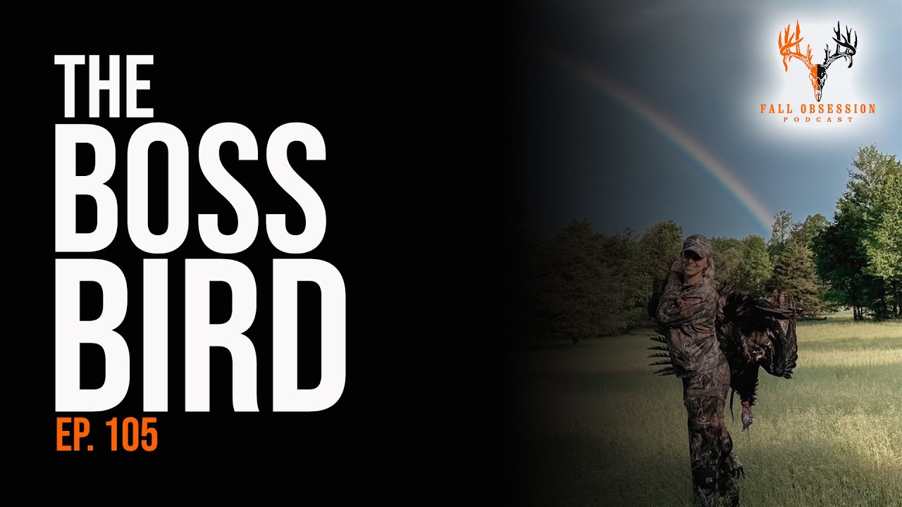 THE BOSS BIRD | Podcast Video - YouTube