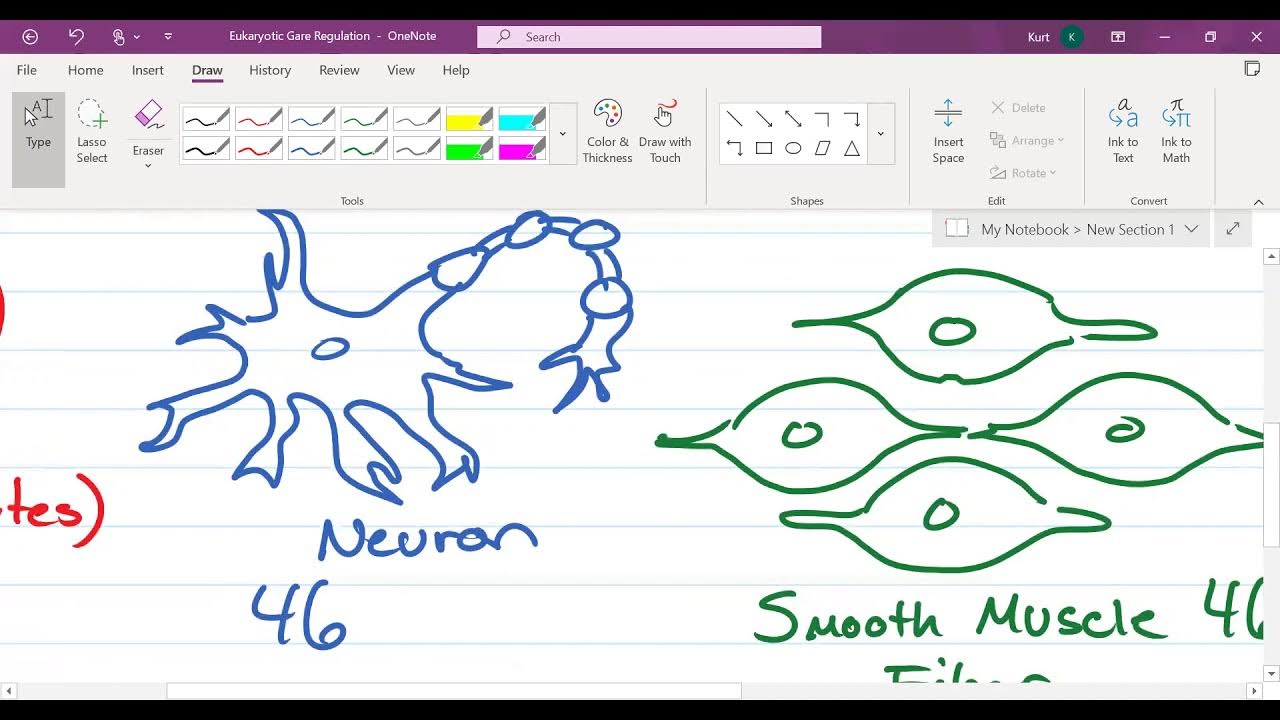 AP Biology Unit 6 - Lesson 60: Eukaryotic Gene Regulation - YouTube