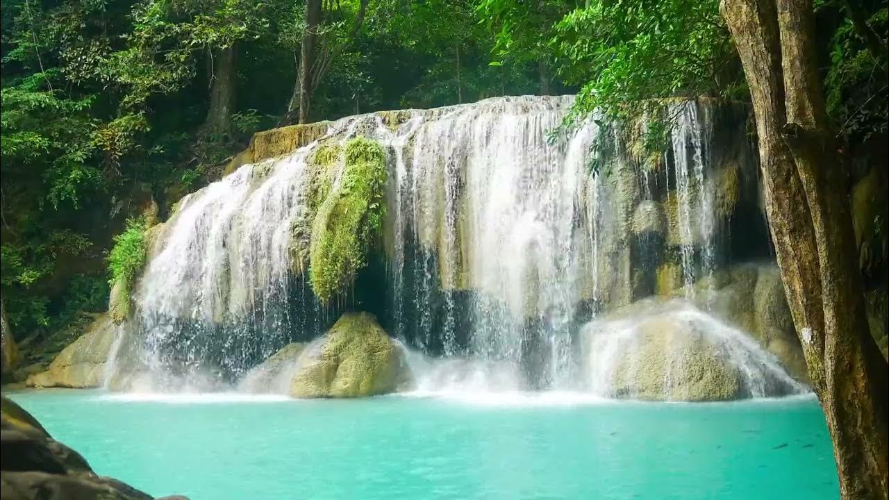 WATERFALL SOUNDS 🦜 WITH BIRDS SINGING NATURE SOOTHING SOUNDS - YouTube