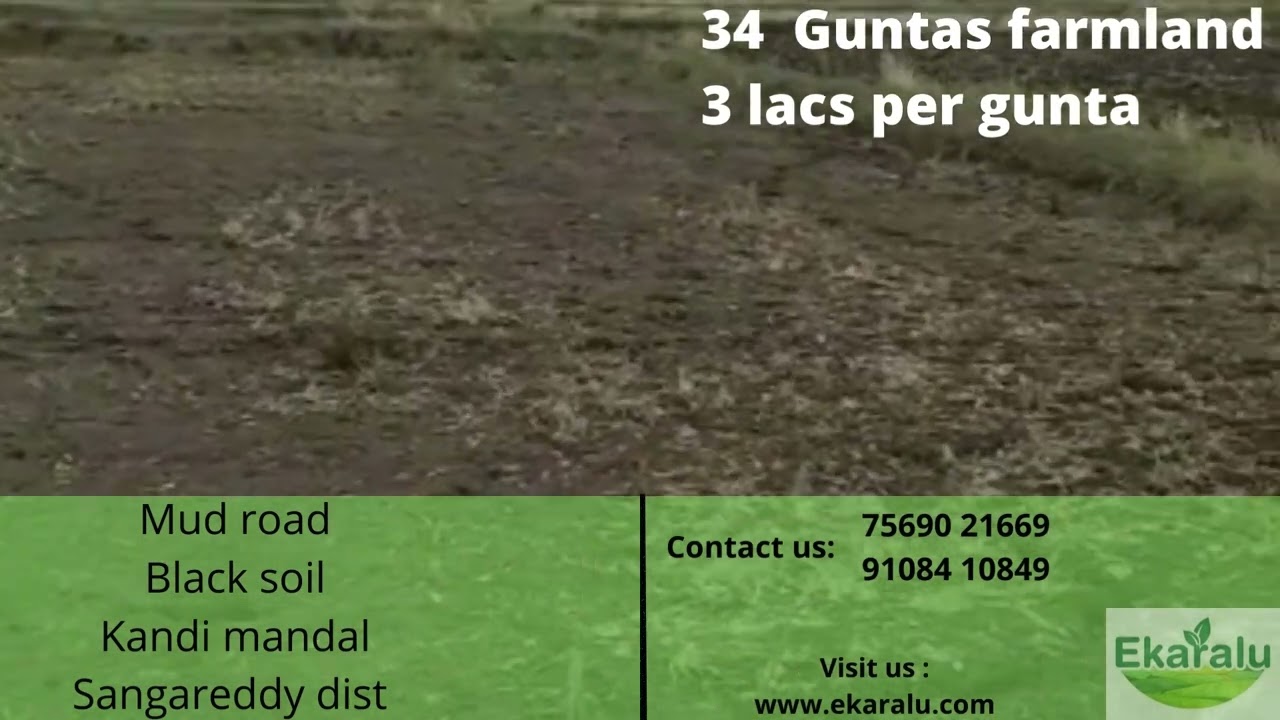34 Guntas Farmland, Mud Road, Black Soil, Kandi Mandal, Sangareddy Dist ...