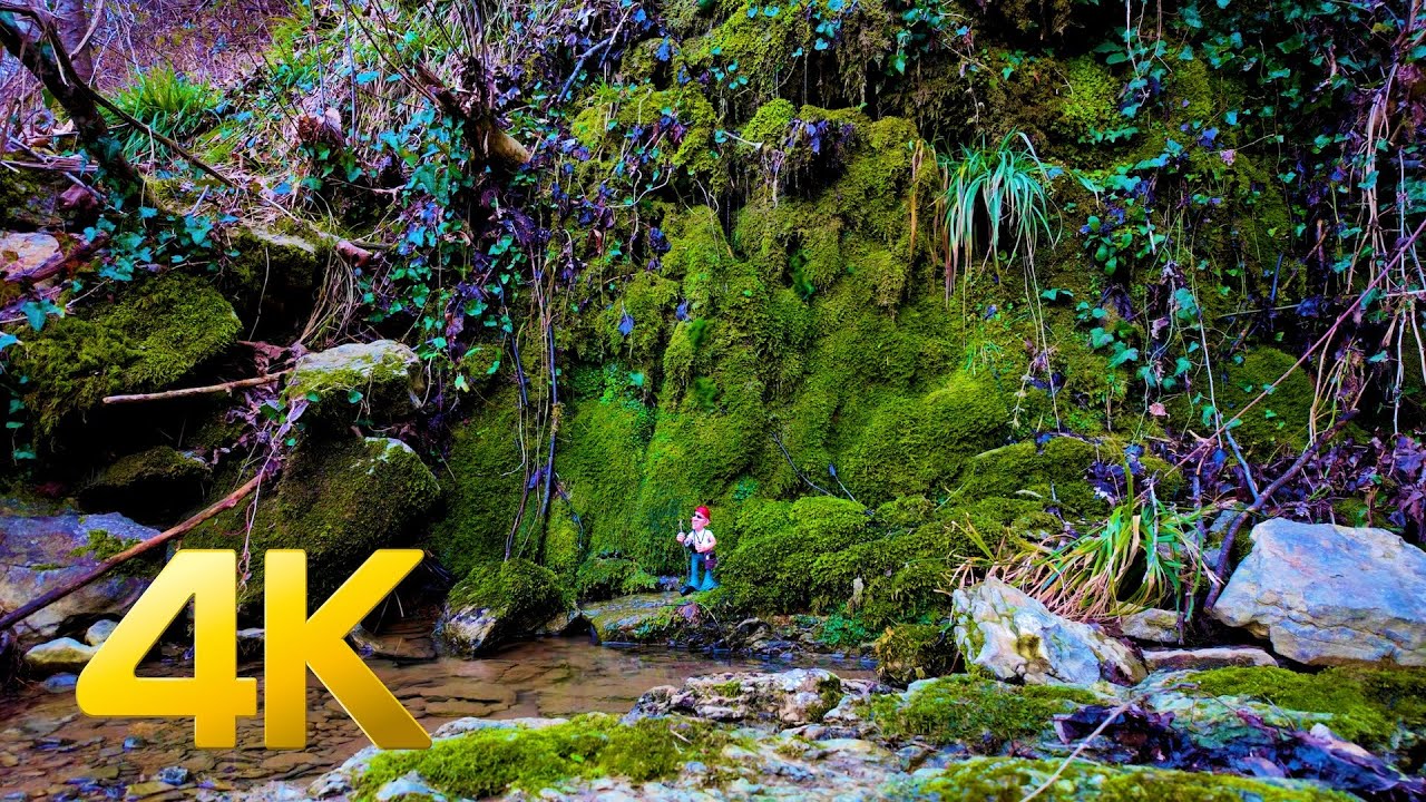 Water Drops DELTA (0.5-4 Hertz) #delta #meditation #theraphy #asmr # ...