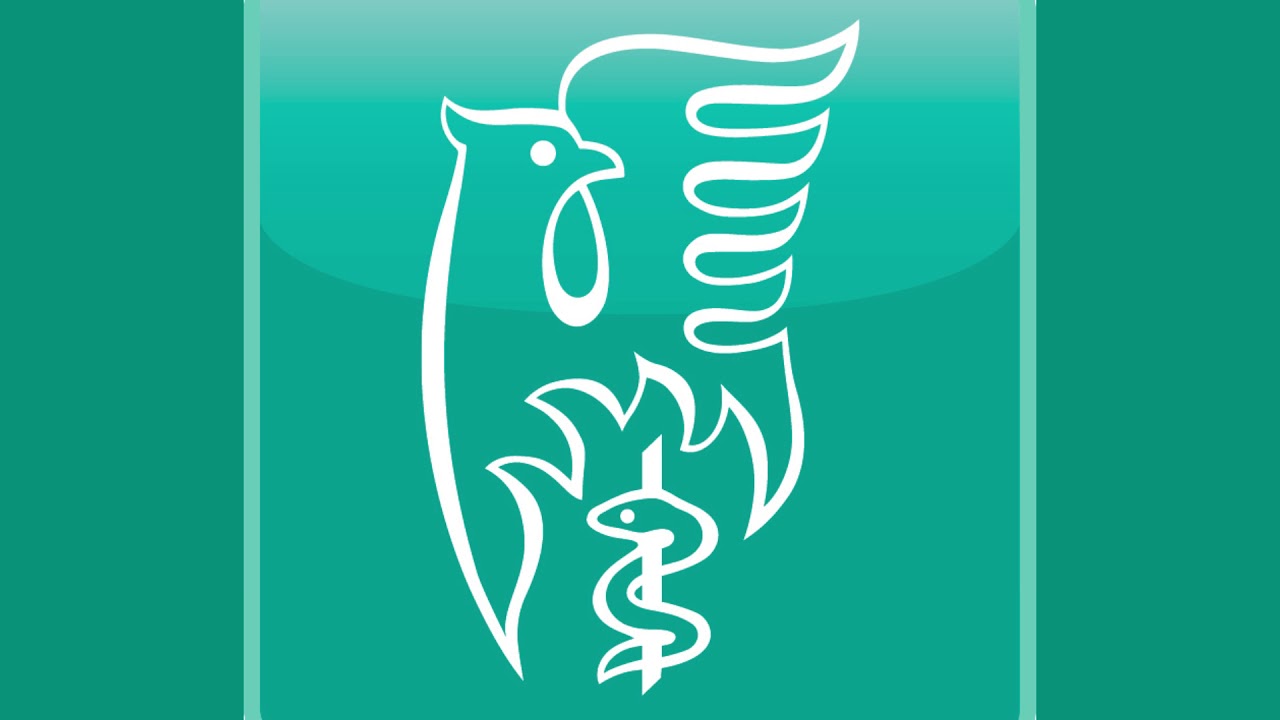 RCOT Podcast: Securing the future of occupational therapy: The OT ...